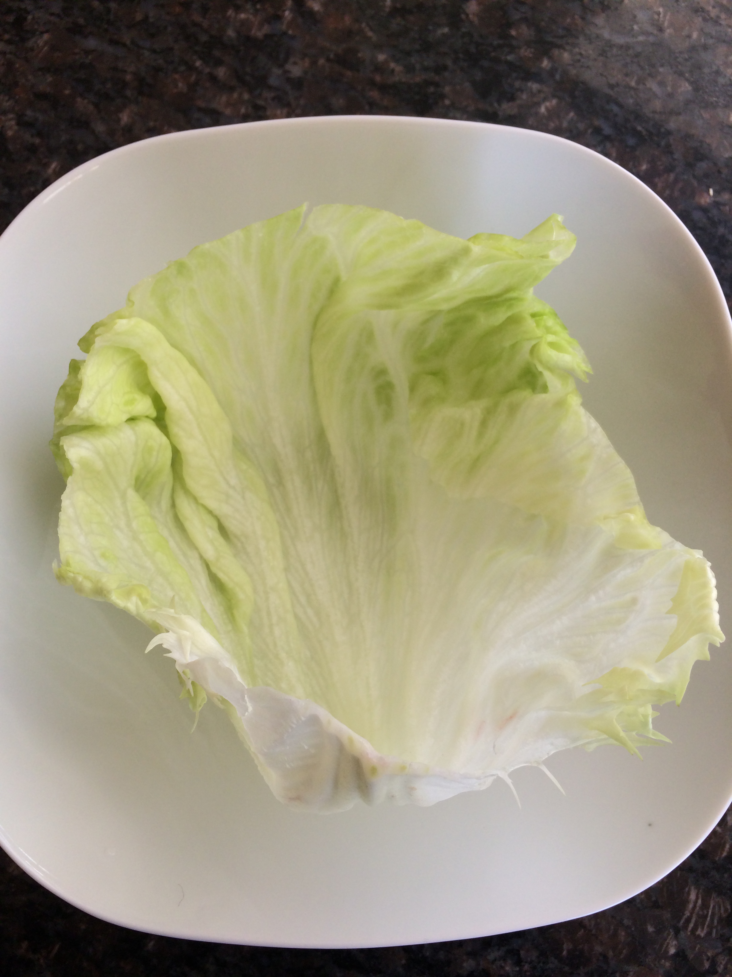 Luscious Lettuce bowl - thewonkyspatula.com