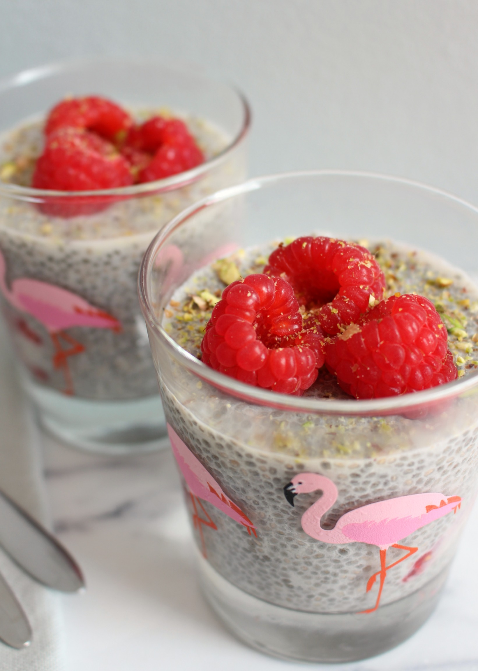 Simple Chia Pudding - thewonkyspatula.com